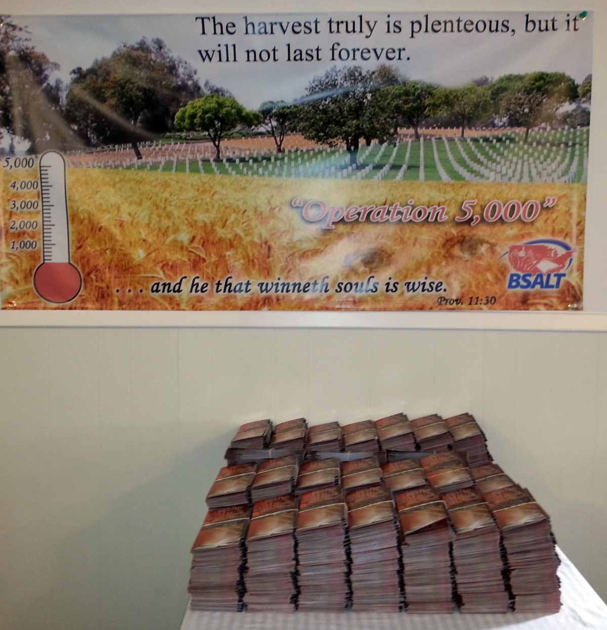 BSALT Gallery - BSALT