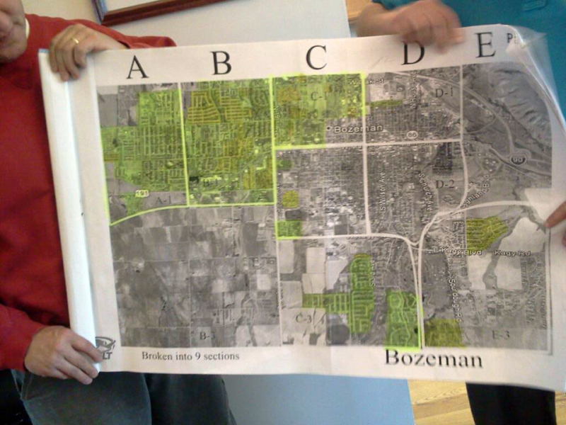 BSALT Gallery - BSALT