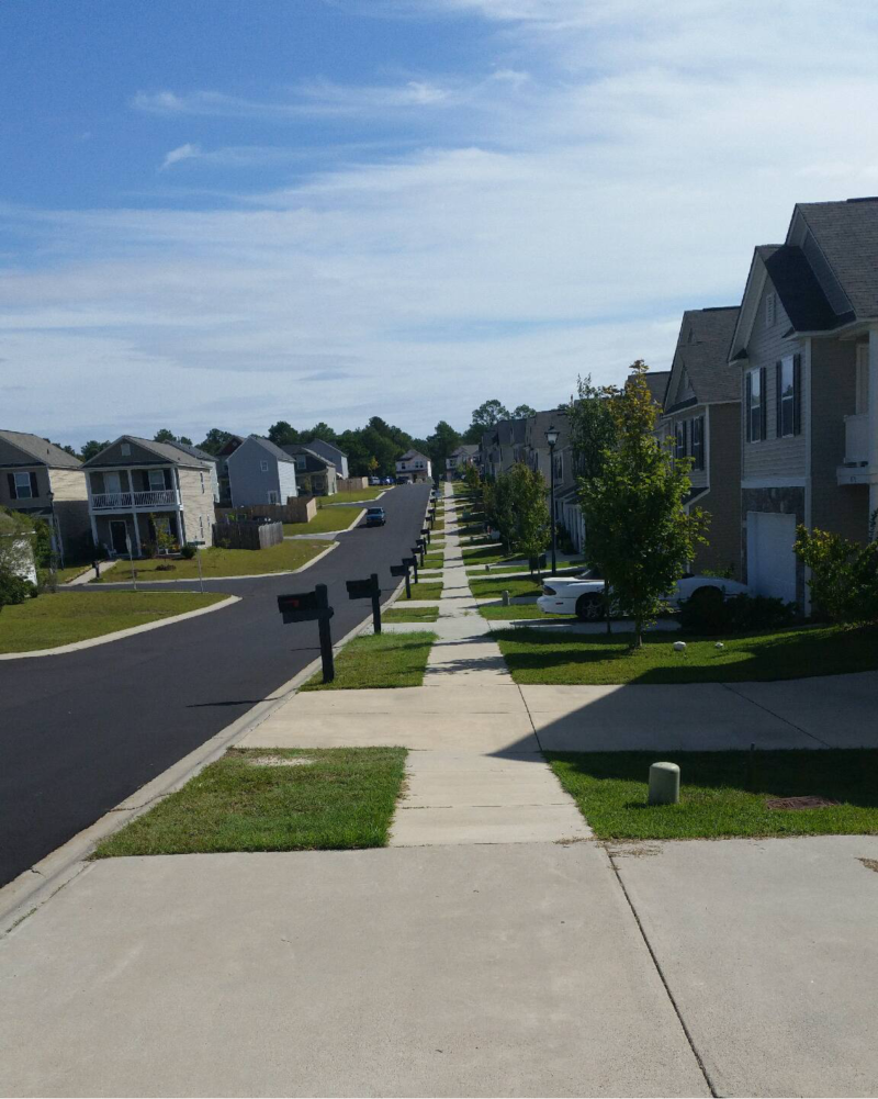 BSALT Gallery - BSALT